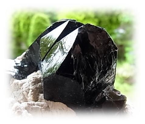 チベット産モリオン(黒水晶)クラスター - 樹Rie(ジュリエ チベット産モリオン(黒水晶)クラスター - 樹Rie(ジュリエ